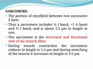 Comprehensive Overview of Muscle Physiology and Contraction Mechanisms ...