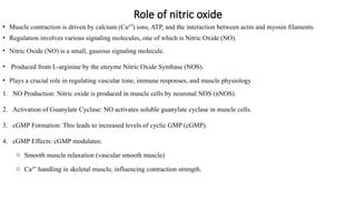 Comprehensive Overview of Muscle Physiology and Nitric Oxide's Role in ...