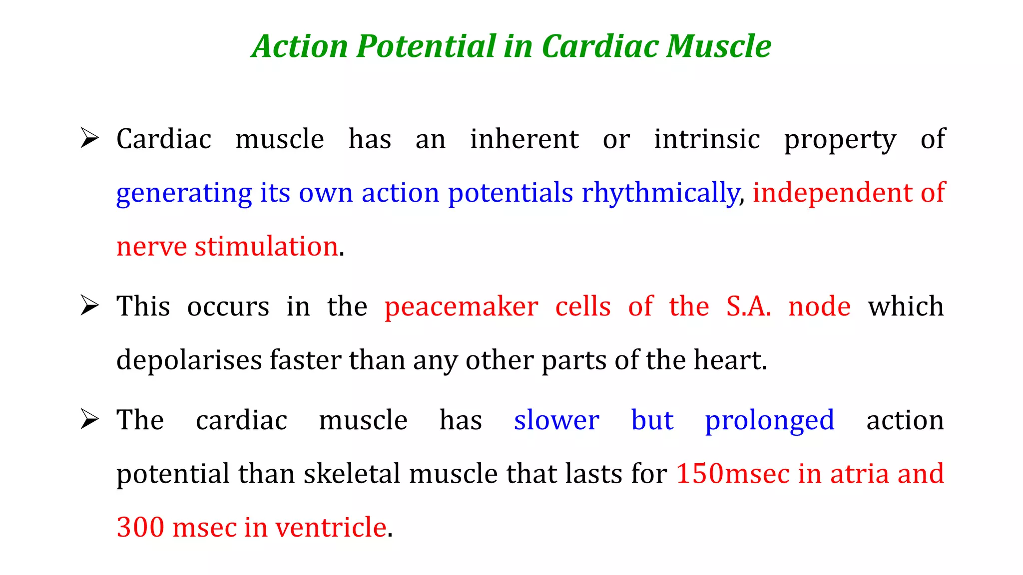 Muscle Physiology - Copy.pptx