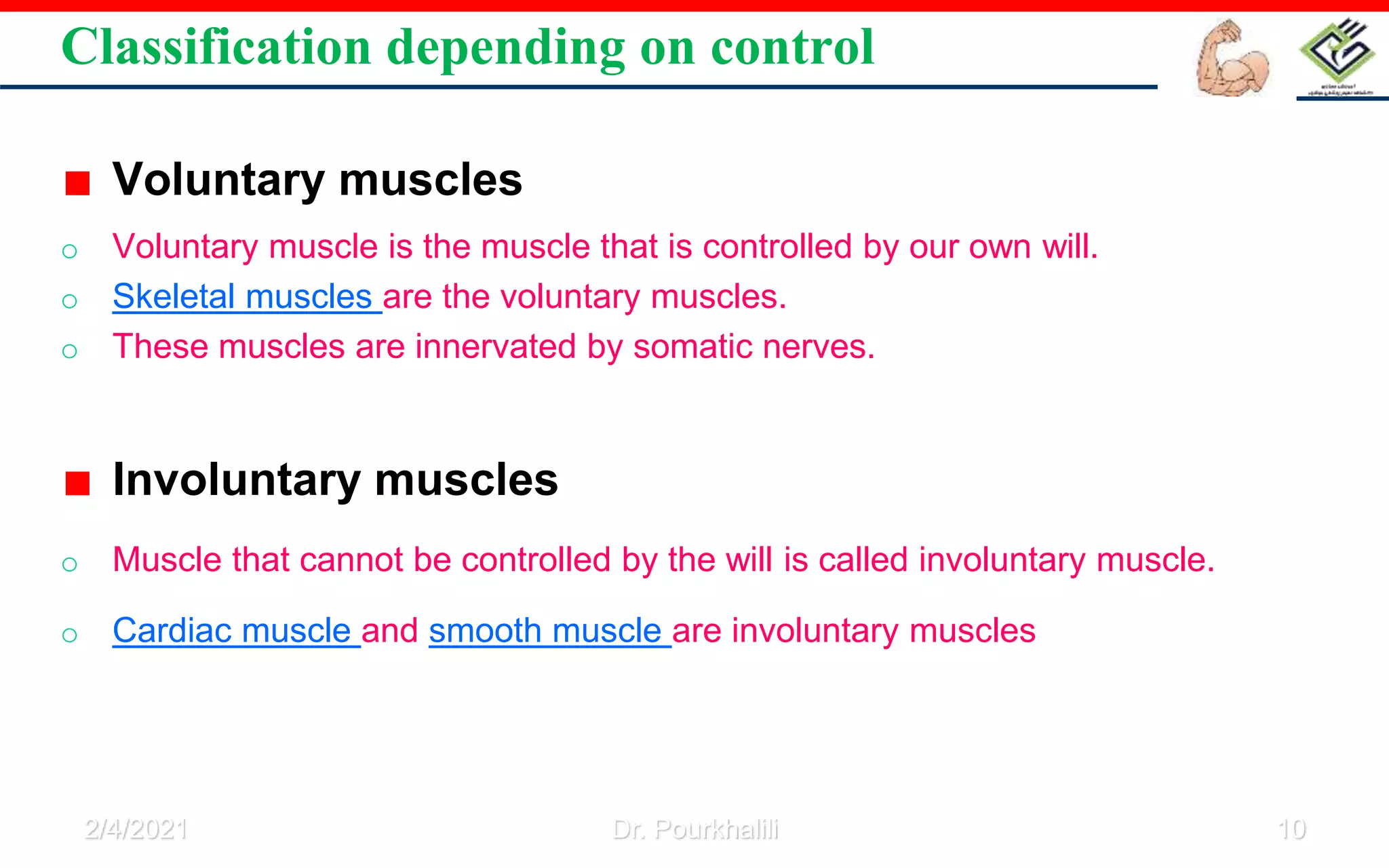 Muscle physiology skeletal muscle | PPT