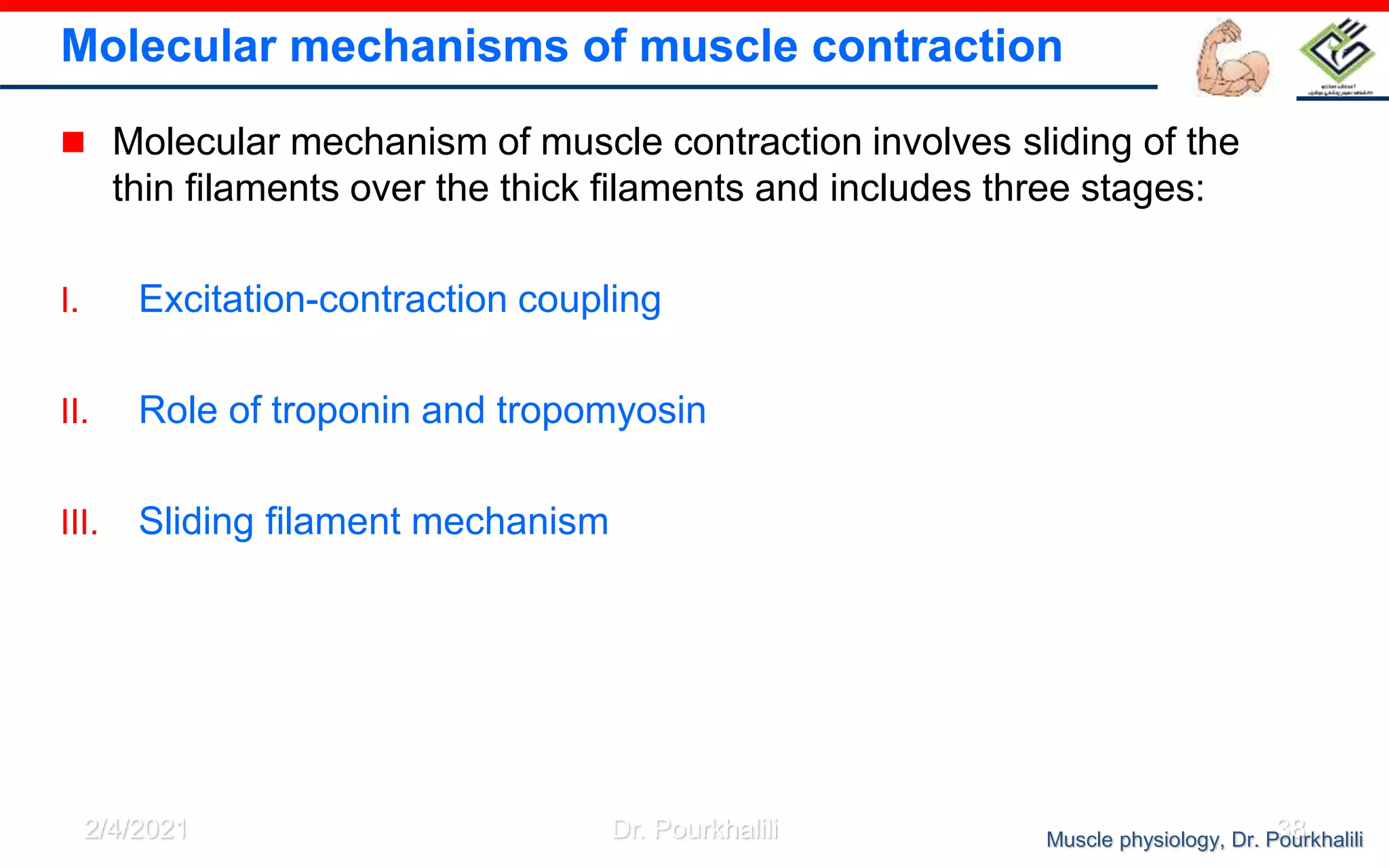 Muscle physiology skeletal muscle | PPT