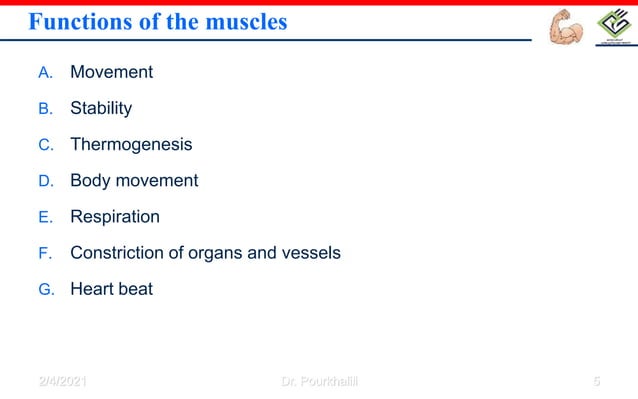 Muscle physiology skeletal muscle | PPT