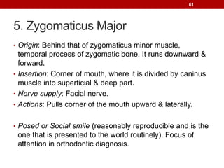 Muscle physiology and muscles of facial expressions & mastication | PPTX