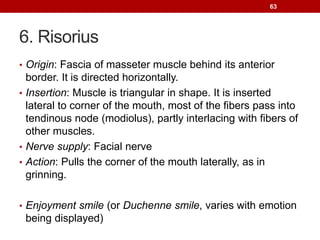 Muscle physiology and muscles of facial expressions & mastication | PPTX