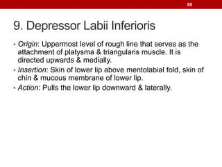 Muscle physiology and muscles of facial expressions & mastication | PPTX