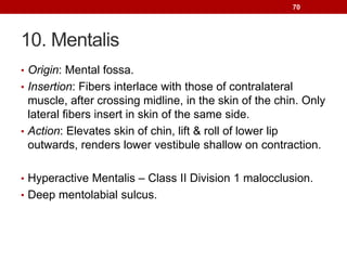 Muscle physiology and muscles of facial expressions & mastication | PPTX