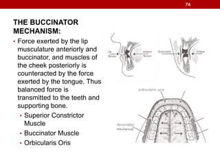 Muscle physiology and muscles of facial expressions & mastication | PPTX