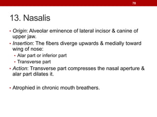 Muscle physiology and muscles of facial expressions & mastication | PPTX