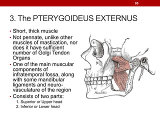 Muscle physiology and muscles of facial expressions & mastication | PPTX