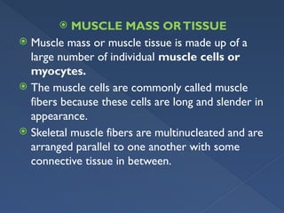 muscle physiology muscle proteins and mechanisms | PPTX