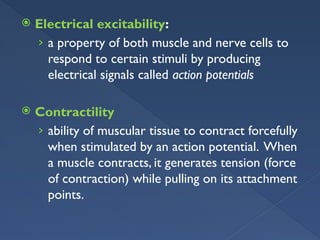 muscle physiology muscle proteins and mechanisms | PPTX