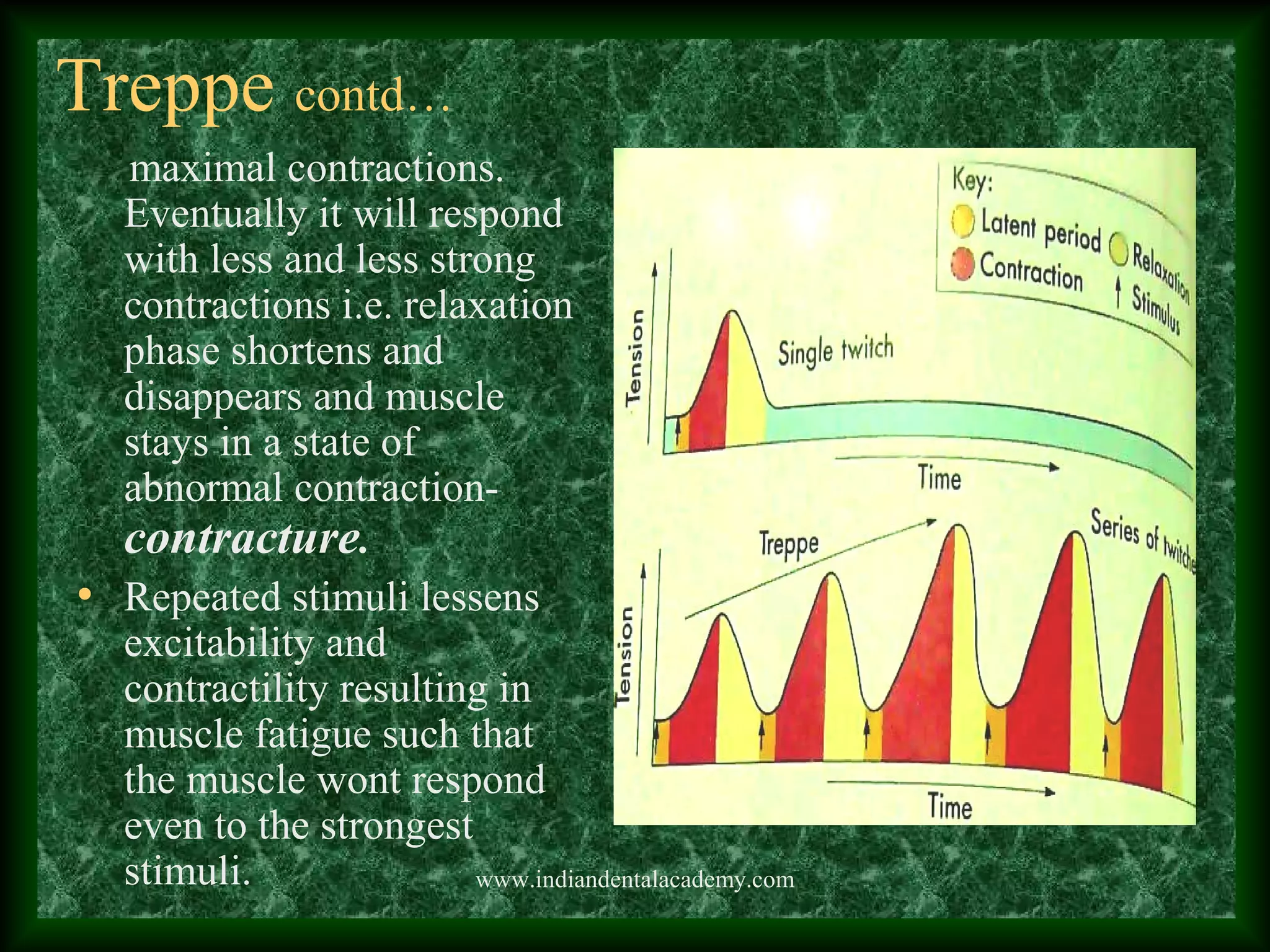 Muscle physiology in orthodontics | PPT