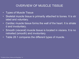 Muscle Physiologyl Final.pptx