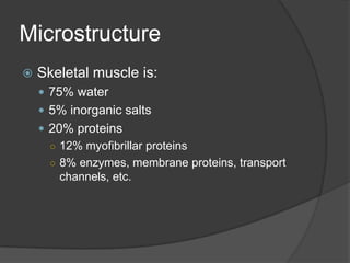 Muscle Physiology Primer | PPT