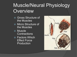 Muscle Physiology Primer | PPT