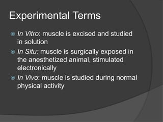 Muscle Physiology Primer | PPT