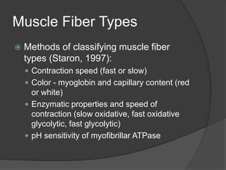 Muscle Physiology Primer | PPT