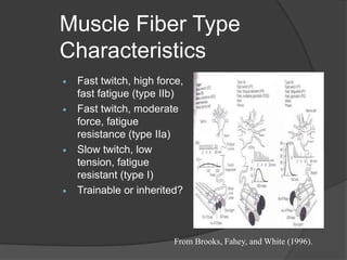 Muscle Physiology Primer | PPT