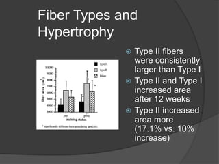 Muscle Physiology Primer | PPT