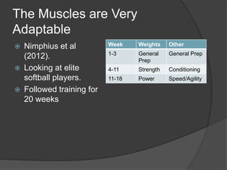 Muscle Physiology Primer | PPT