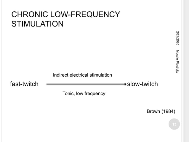 Muscle plasticity | PPTX | Physical Therapy | Wellness