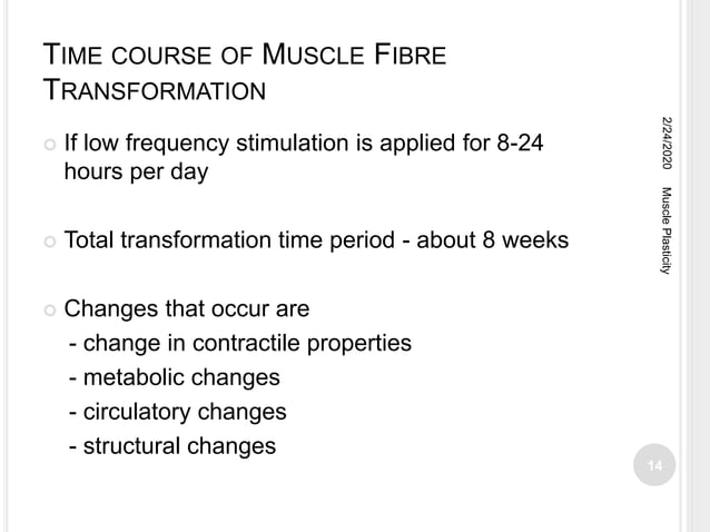 Muscle plasticity | PPTX | Physical Therapy | Wellness