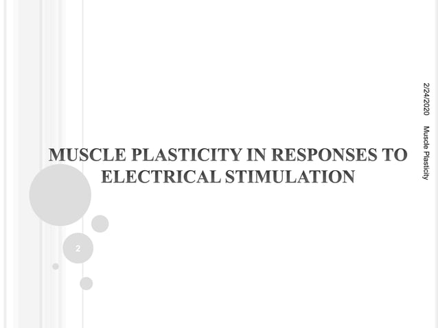 Muscle plasticity | PPTX | Physical Therapy | Wellness