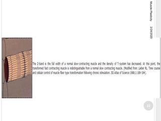 Muscle plasticity | PPTX