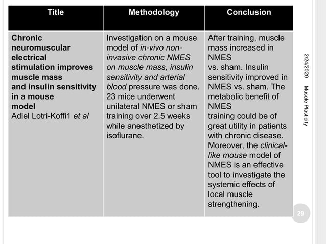 Muscle plasticity | PPTX | Physical Therapy | Wellness
