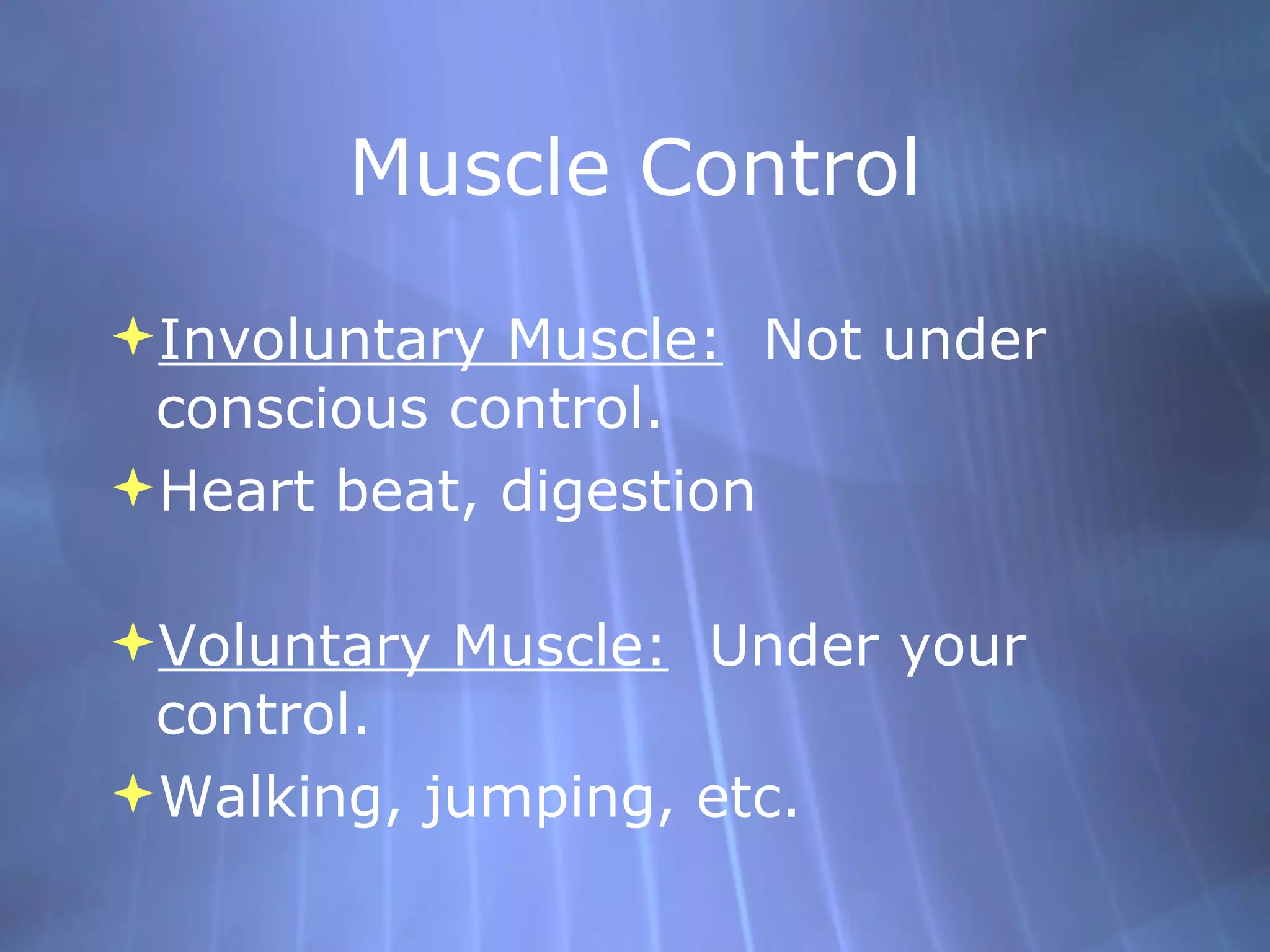 Muscle powerpoint | PPT