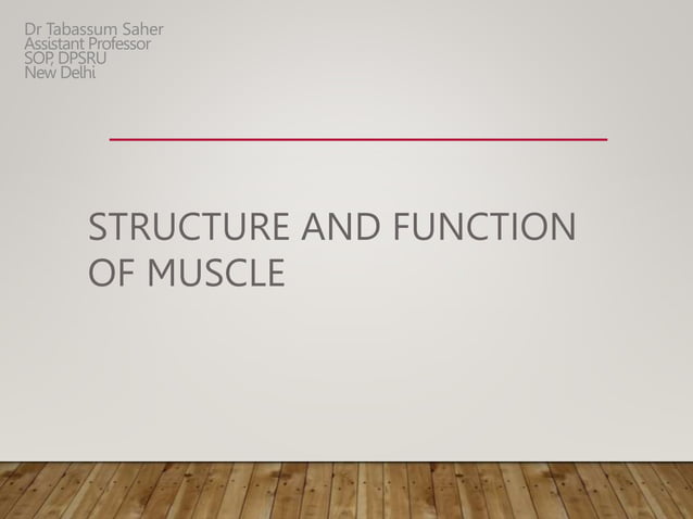 MUSCLE PPT 3RD SEM.pptx