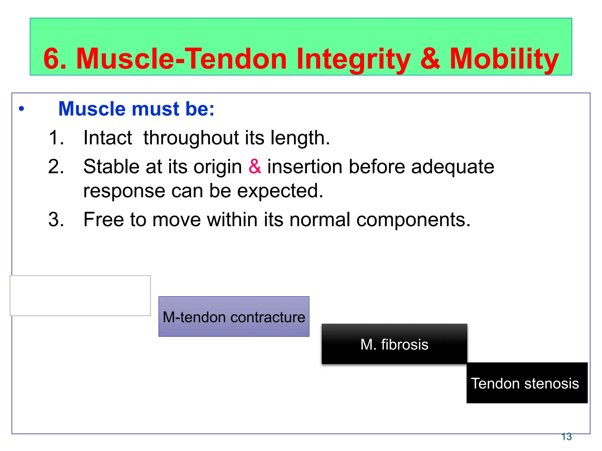 Muscle Re-education.PPT for further study | PPT
