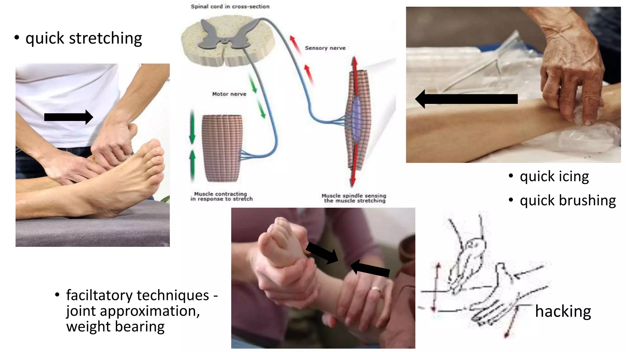 muscle re_education by chintu.pptx