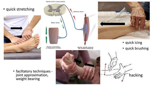muscle re_education by chintu.pptx
