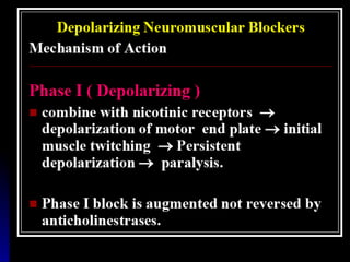 Neuromuscular Blocking Agents Mechanism Of Action