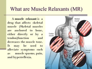 Muscle relaxants | PPT