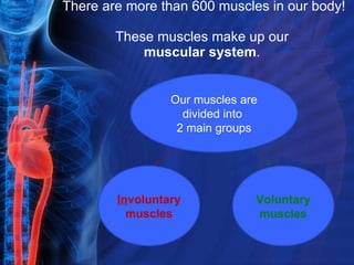 Muscles | PPT