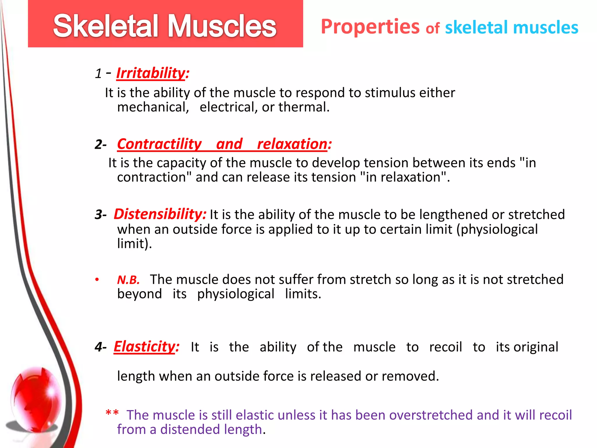 Muscles | PPTX