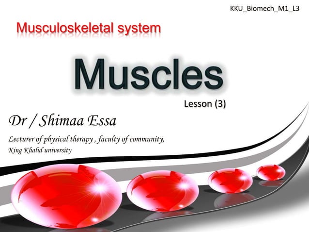 Muscles | PPTX