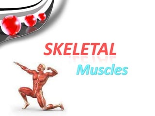 Muscles | PPTX