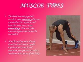 Muscles | PPT