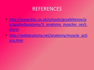 Muscles | PPT