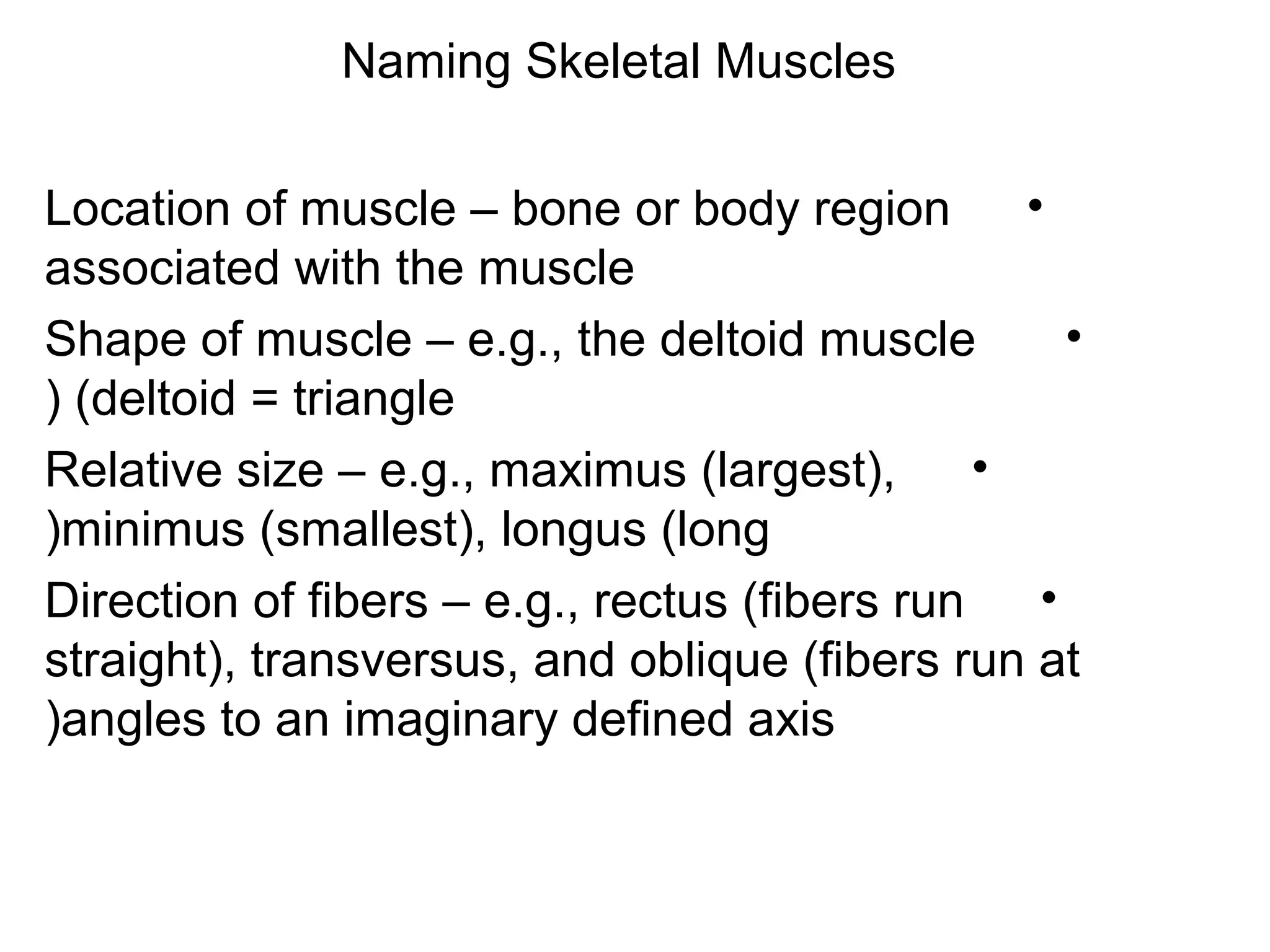 Muscles | PPT