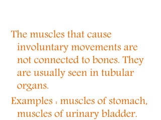 Muscles | PPT