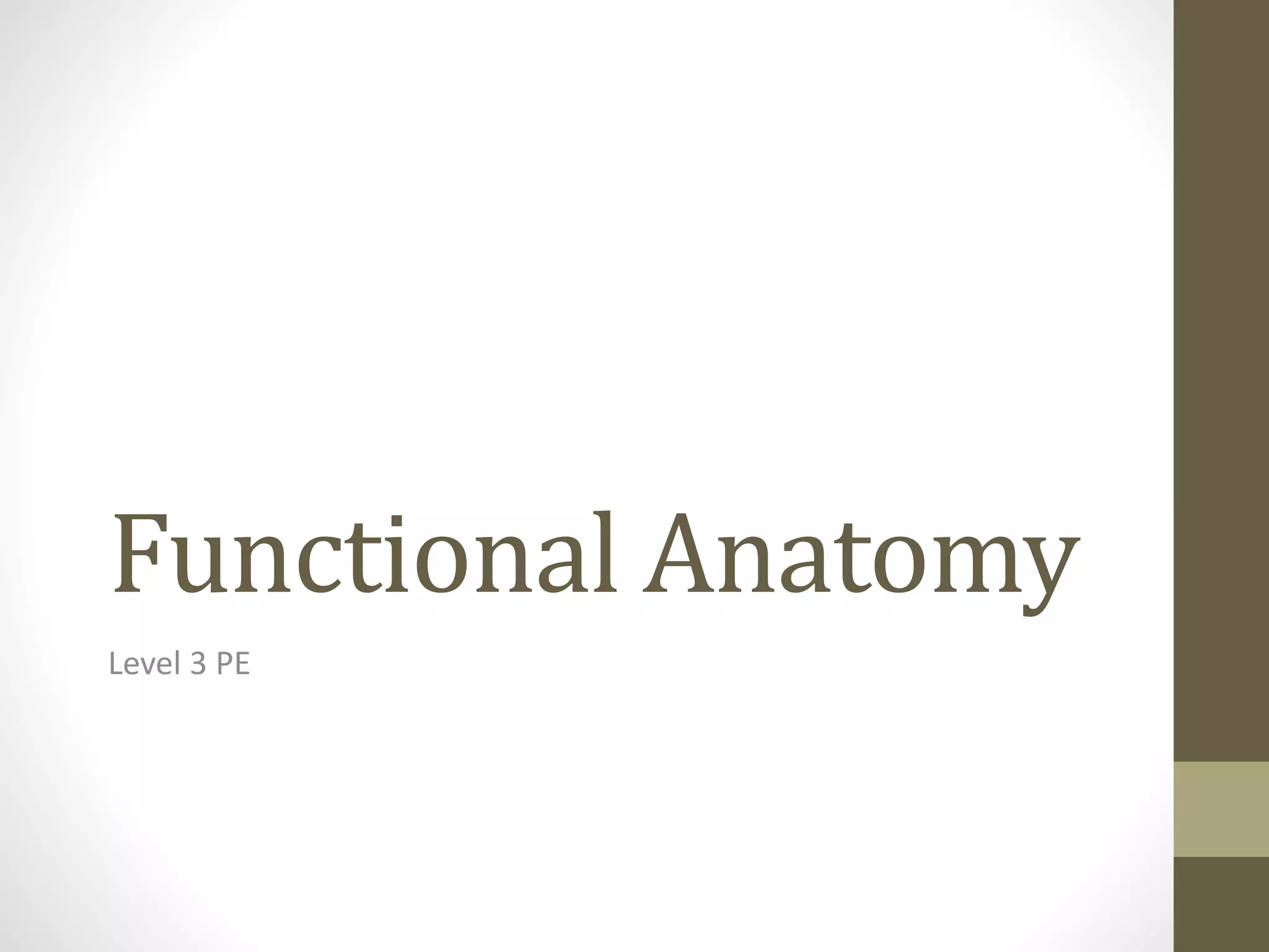 Functional Anatomy | PPTX