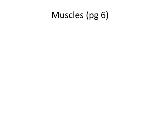 Muscles | PPT