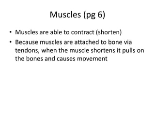 Muscles | PPTX