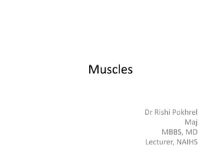 Muscles | PPTX