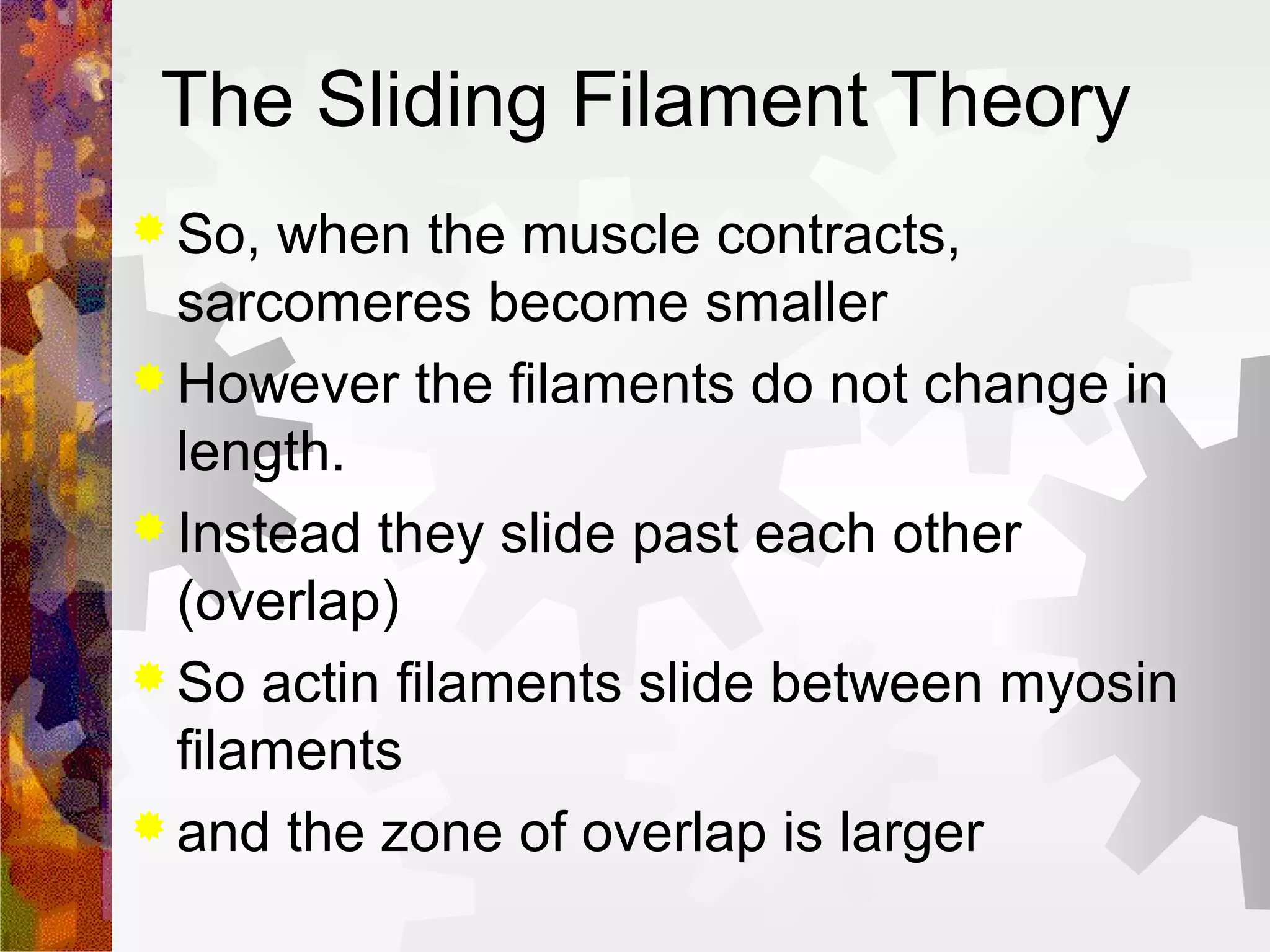 3 Types of Muscle Tissue | PPT