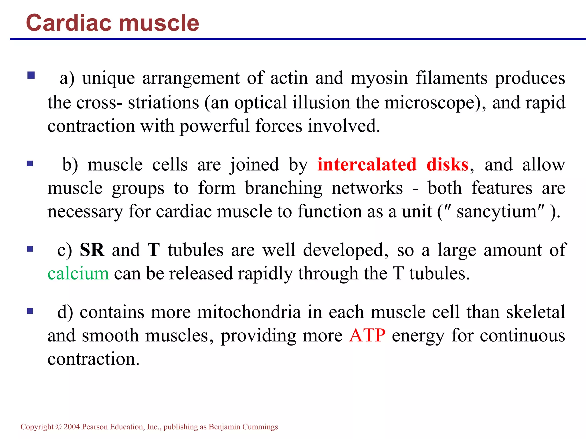 Functions of the muscular system | PDF
